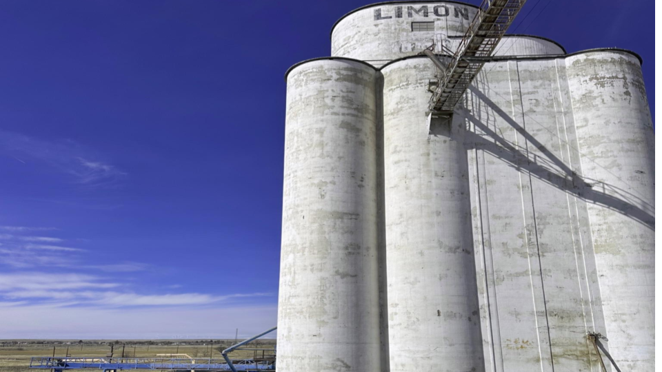 Environmental monitoring solutions with LoRaWAN® | The Things Industries
